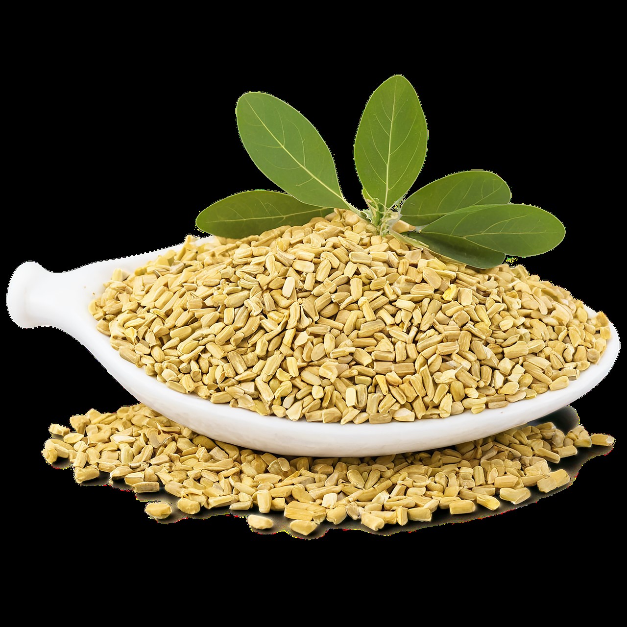 FENUGREC : ses bienfaits pour la santé - VIVRE MIEUX NATURELLEMENT